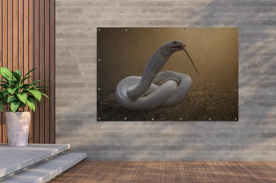 Muurdecoratie Witte slang eet prooi - 180x120 cm - Tuinposter ...