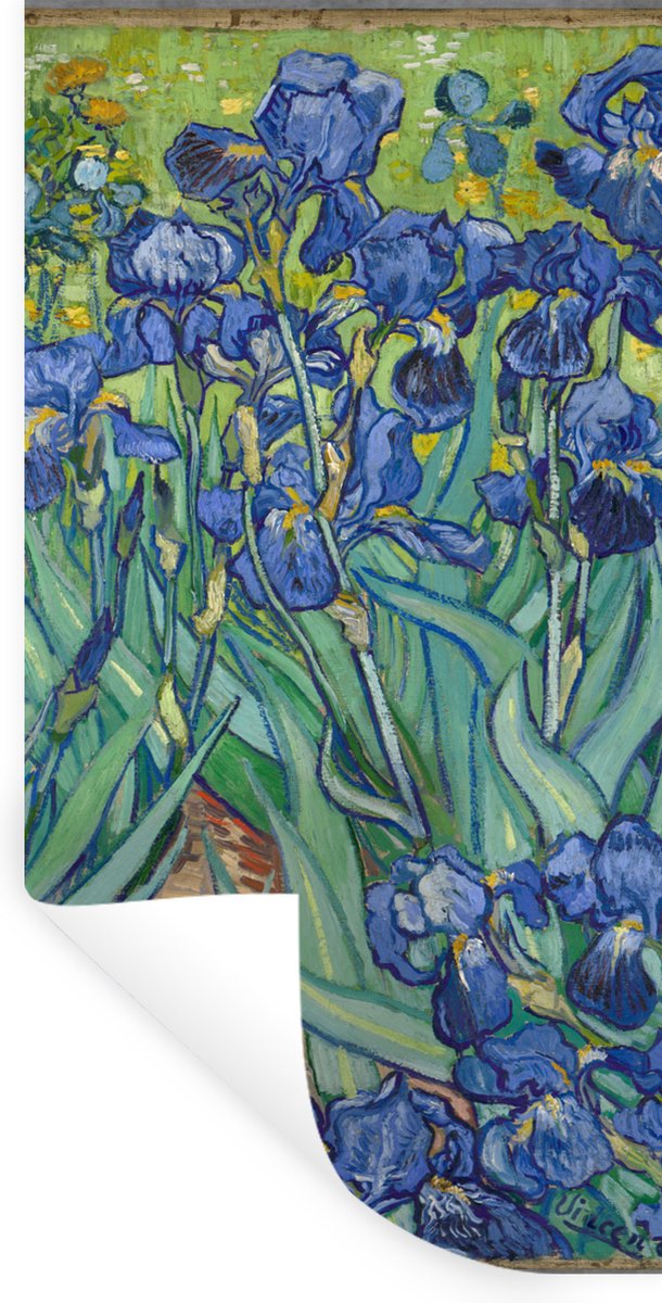 Muurstickers - Sticker Folie - Irissen - Vincent van Gogh - 60x120 cm - Plakfolie -... | bol.com