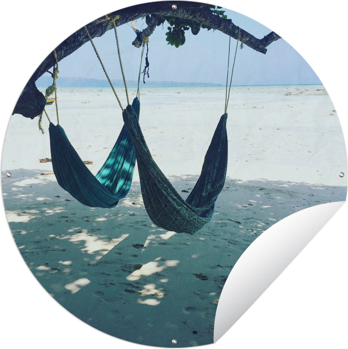 Affiche de jardin Hamac rond sur la plage - Hamacs sur un arbre en Inde ...
