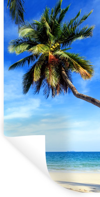 Muurstickers - Sticker Folie - Palmbomen - Strand - Zee - 60x120 cm ...