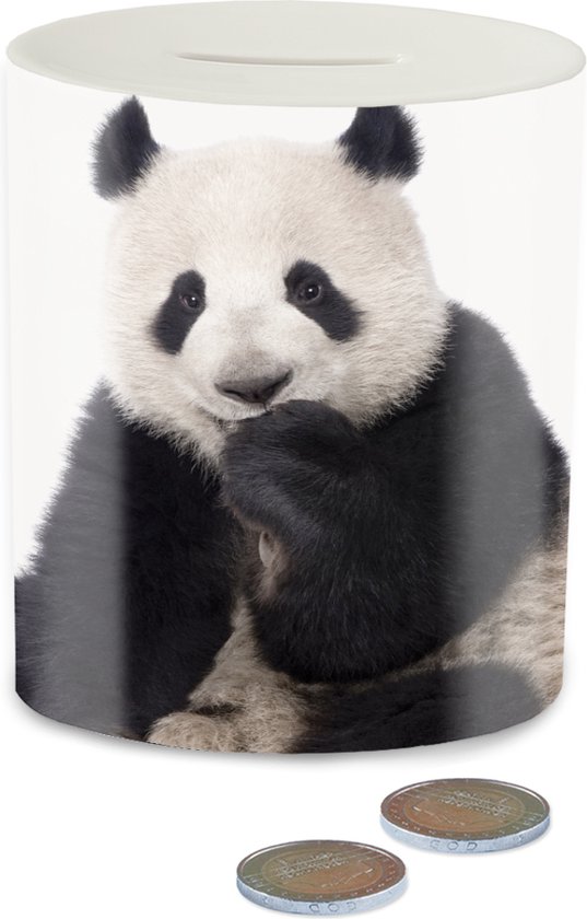 Spaarpot - Spaarblik - Baby Panda - Panda jong - Pandabeertje ...
