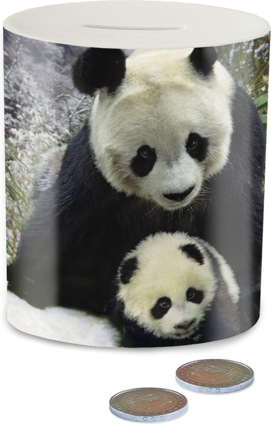 Spaarpot - Spaarblik - Panda - Welp - Sneeuw - Spaarpotten ...