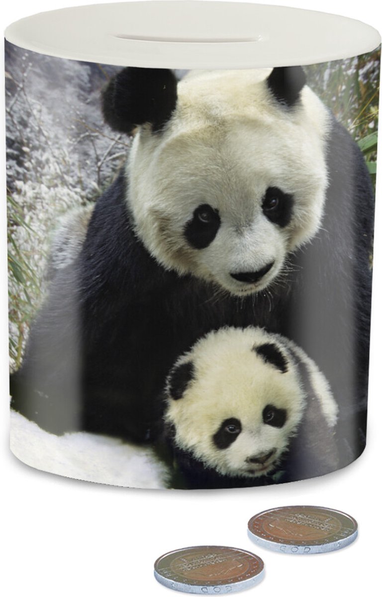 Spaarpot - Spaarblik - Panda - Welp - Sneeuw - Spaarpotten ...