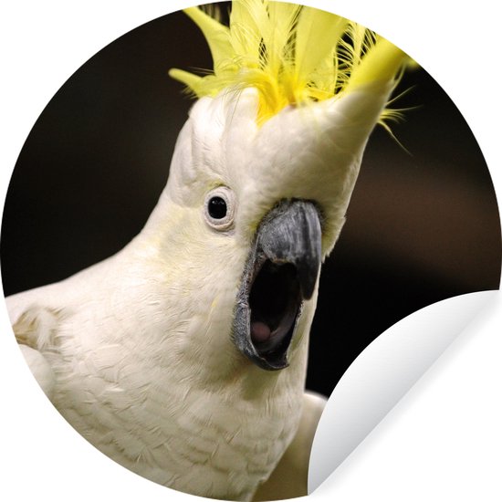 WallCircle - Muurstickers - Behangcirkel - Een witte kaketoe met een ...