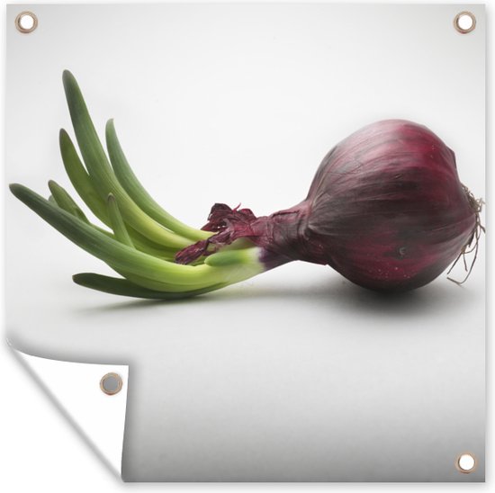 Tuin poster Groene stengel ontspringt uit de bloeiende rode ui ...