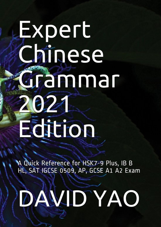 Chinese Grammar - Expert Chinese Grammar 2021 Edition 汉语水平考试大师级语法 ...