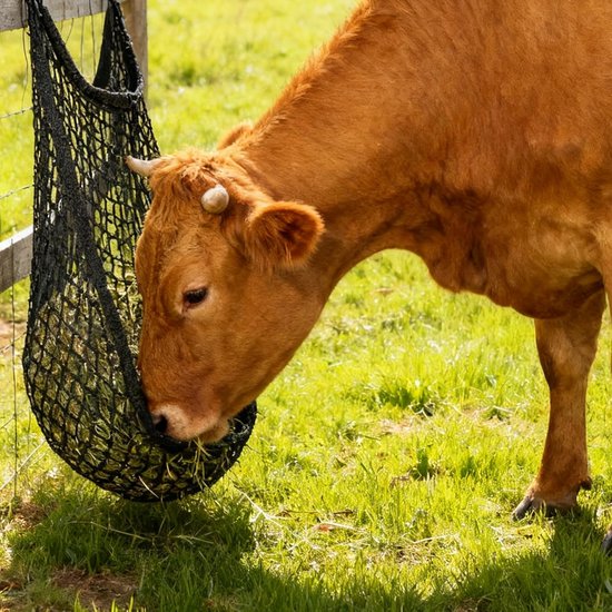 Slow Feeder Hooinet Voor Paarden - Grote Hooibakken Voor Paarden ...