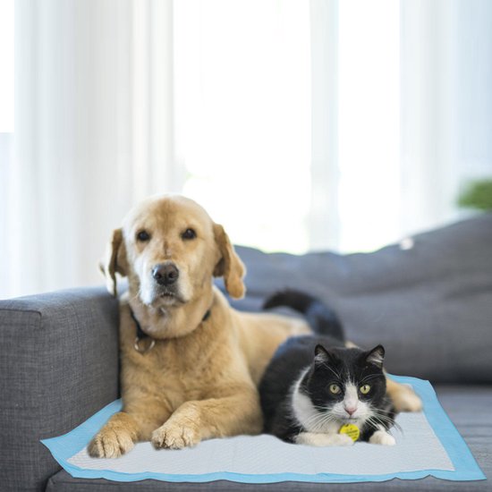 Puppy Training Pads 50 stuks - 45 x 60 cm - Zindelijkheidstraining ...