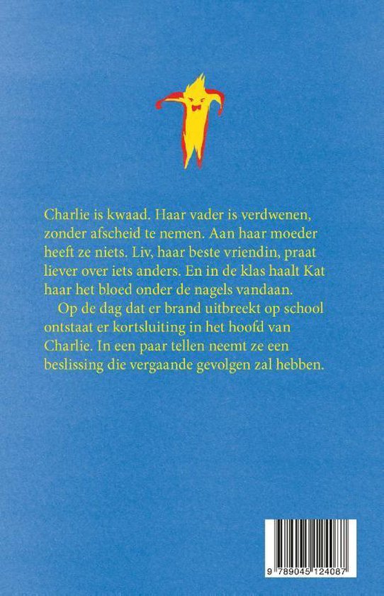 Leugenaar leugenaar, Herman Van De Wijdeven | 9789045124087 | Boeken ...