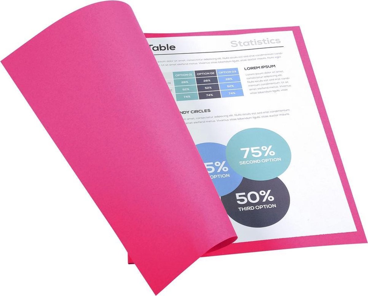 5x FOREVER 220-Pak van 100 dossiermappen 220g/m2 24x32cm voor A4 ...