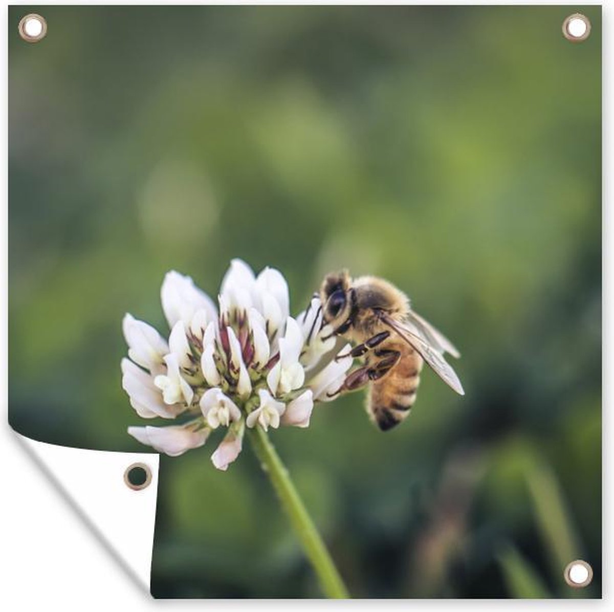 Tuin poster Bij - Insecten - Bloem - 200x200 cm - Tuindoek | bol.com