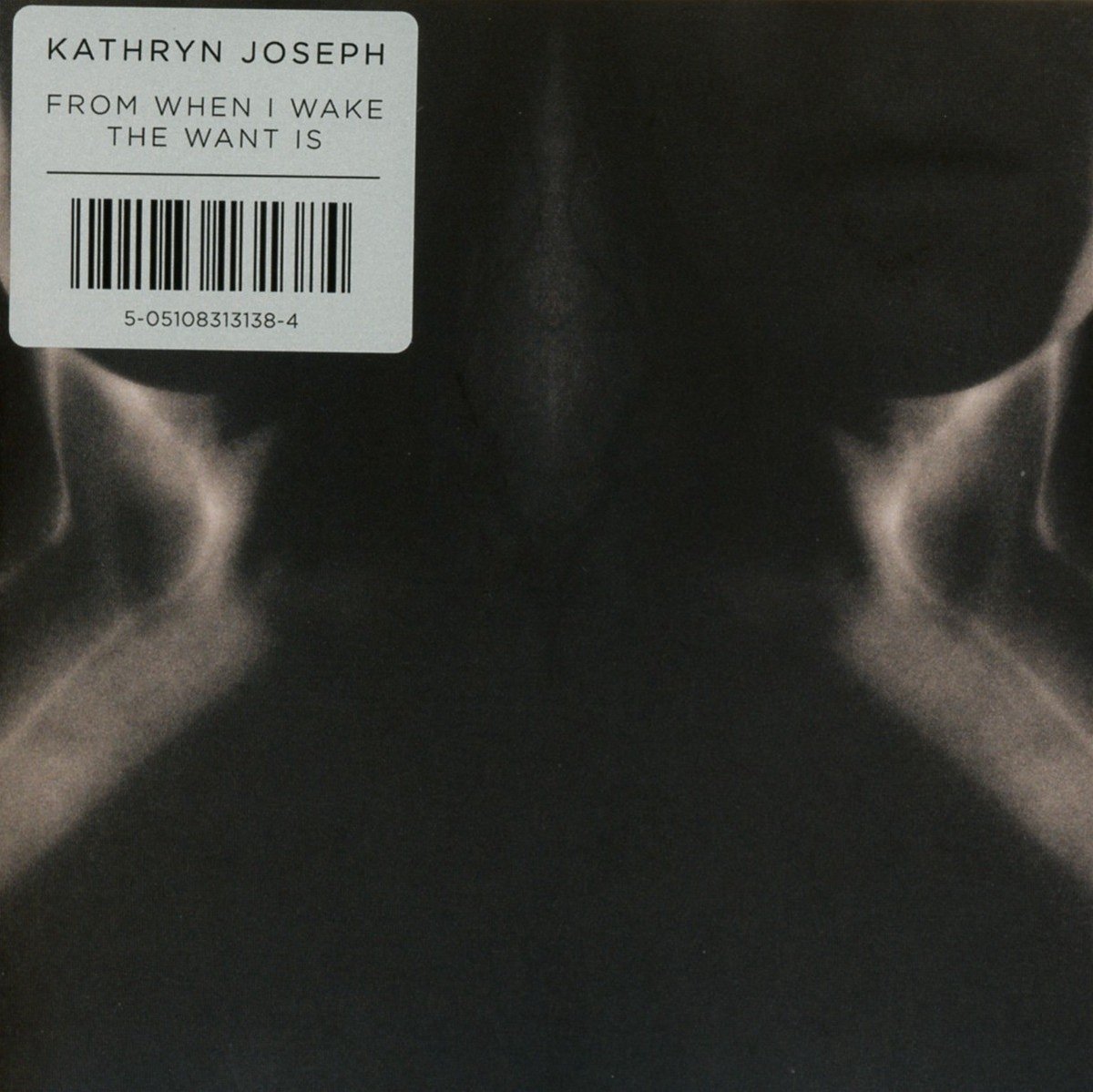 Kathryn Joseph - From When I Wake The Want Is (CD), Kathryn Joseph | CD ...