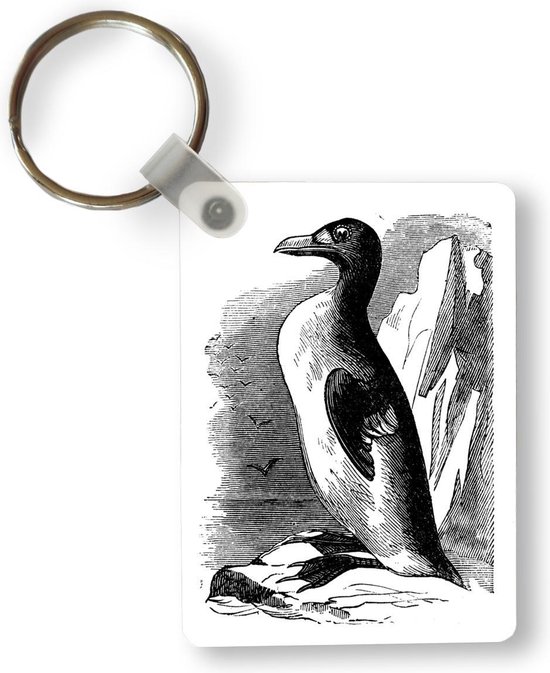 Sleutelhanger - vintage tekening van een Reuzenalk - Plastic | bol