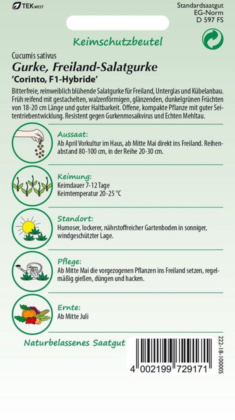 Saladekomkommer, buitensaladekomkommer, Corinto F1 ...
