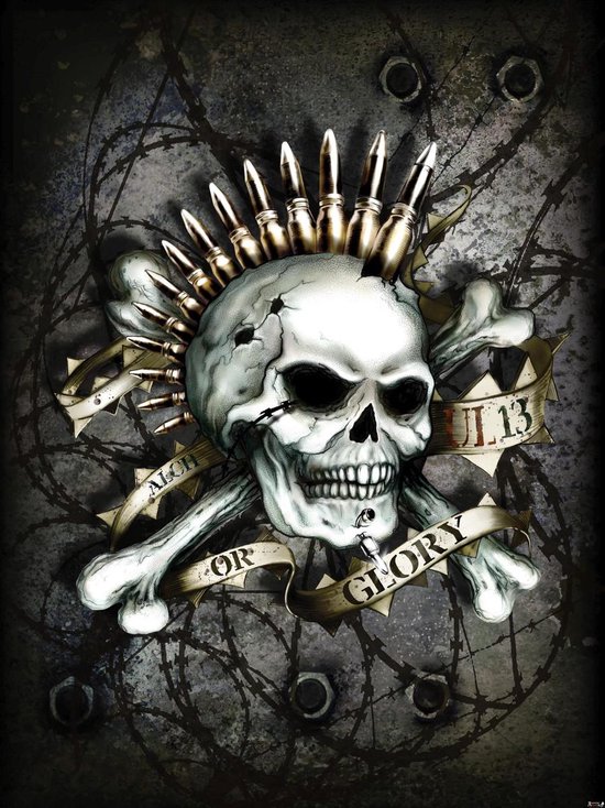 Alchemy Skull Ammunition Photo Wallcovering | bol.com