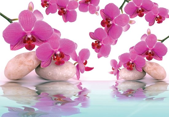 Fotobehang - Vlies Behang - Roze Orchideeën, Stenen en Water - Spa ...