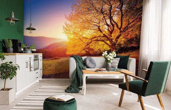 Fotobehang - Vlies Behang - Boom in de Herfst - 416 x 254 cm | bol