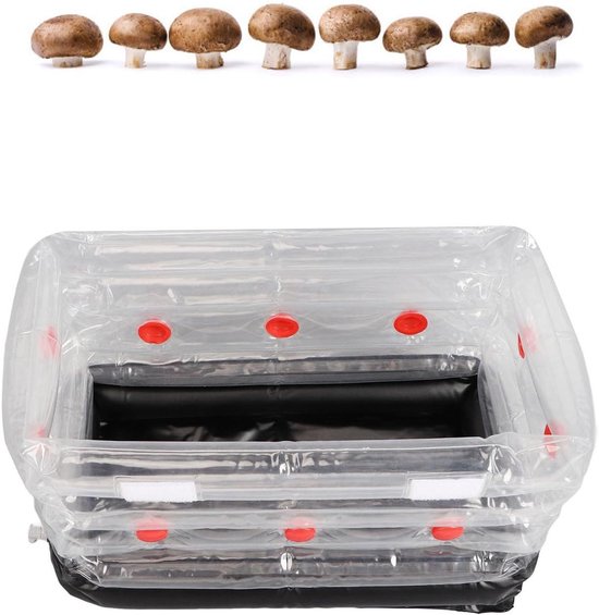 Monotub Kweekset voor Paddenstoelen - Opblaasbare Paddenstoel Kweekset ...