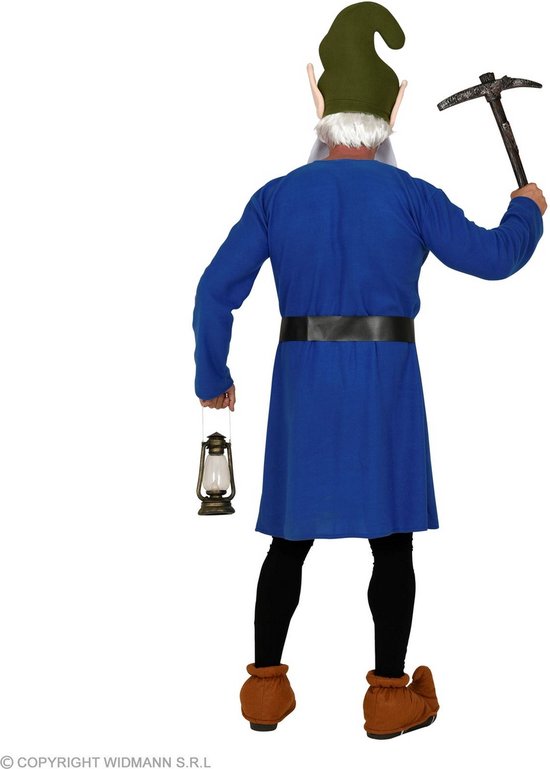 Widmann - Dwerg & Kabouter Kostuum - Hardwerkende Mijn Kabouter Dommel ...