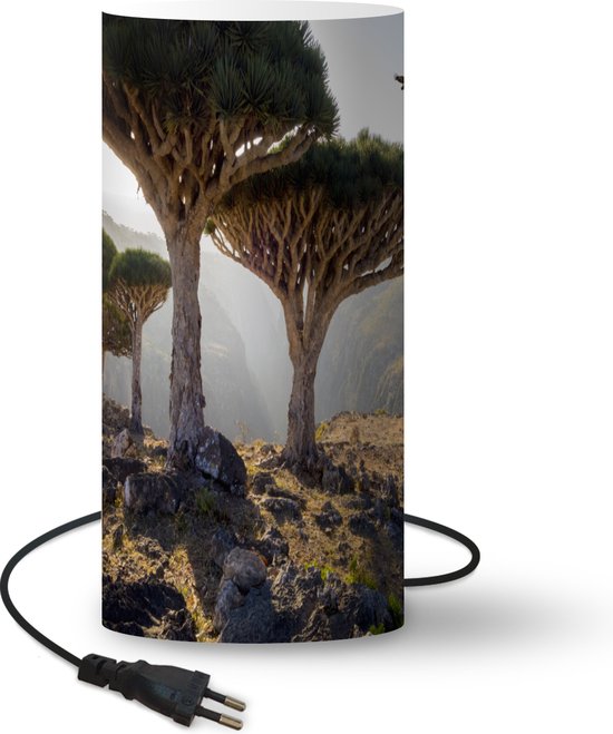 Lamp Drakenboom - Drakenbomen op klif lamp - 33 cm hoog - Ø16 cm ...