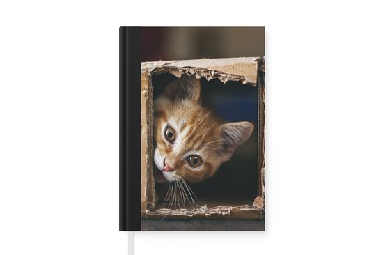 Cahier - Cahier d'écriture - Chaton - Coffret - Play - Carnet - Format ...
