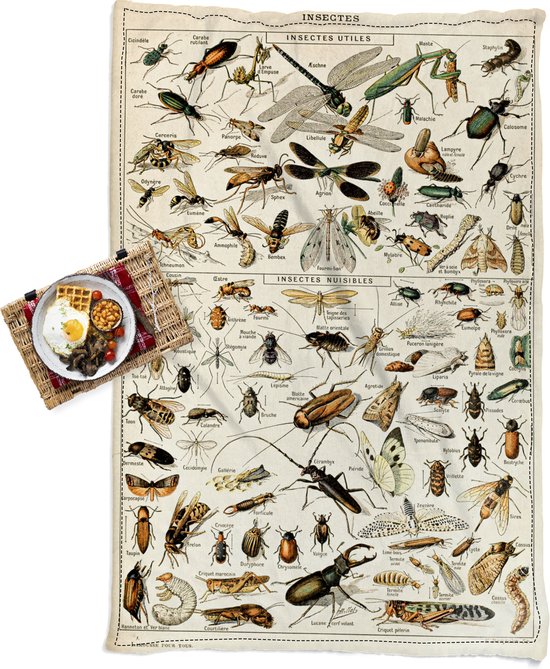 Couverture de pique-nique imperméable - Convient comme serviette de ...