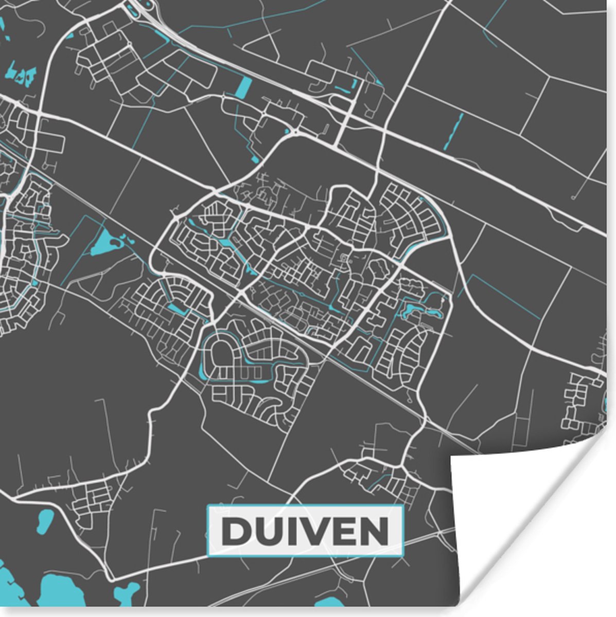 Poster Kaart - Duiven - Plattegrond - Stadskaart - 75x75 cm | bol.com