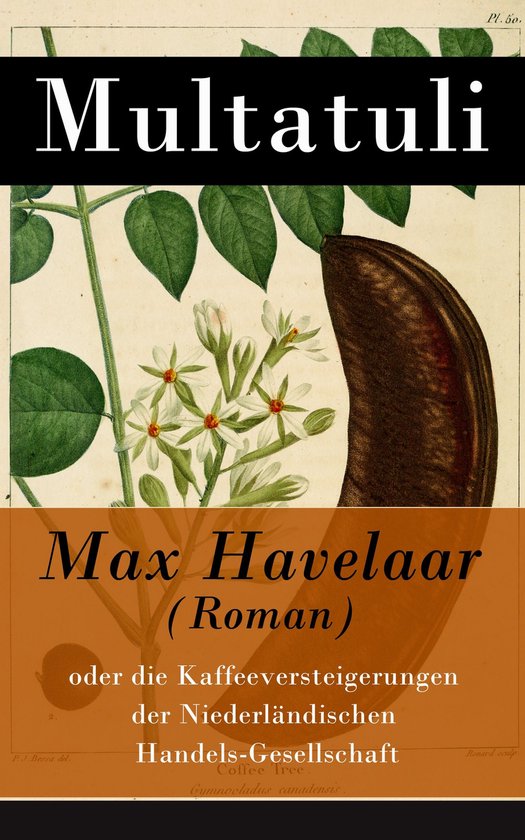 Max Havelaar (Roman) - Vollständige deutsche Ausgabe (ebook), Multatuli ...