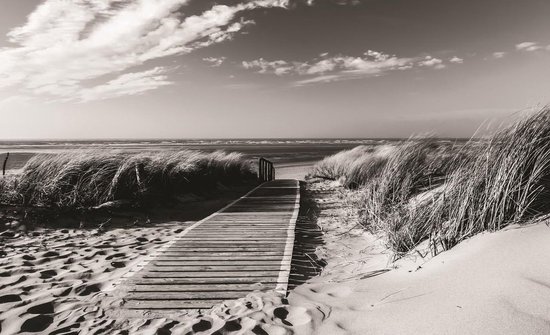 Fotobehang - Strandpad langs de duinen naar het strand en zee ...