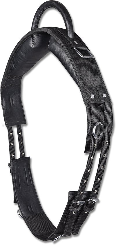 Lunging Surcingle With Handle | bol