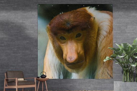 Tuin poster Een close-up van een neusaap met een onscherpe achtergrond ...