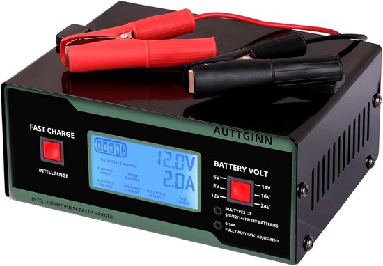 Slimme 8 Volt Batterijlader voor Auto en Camper - Verstelbare 0-10A ...