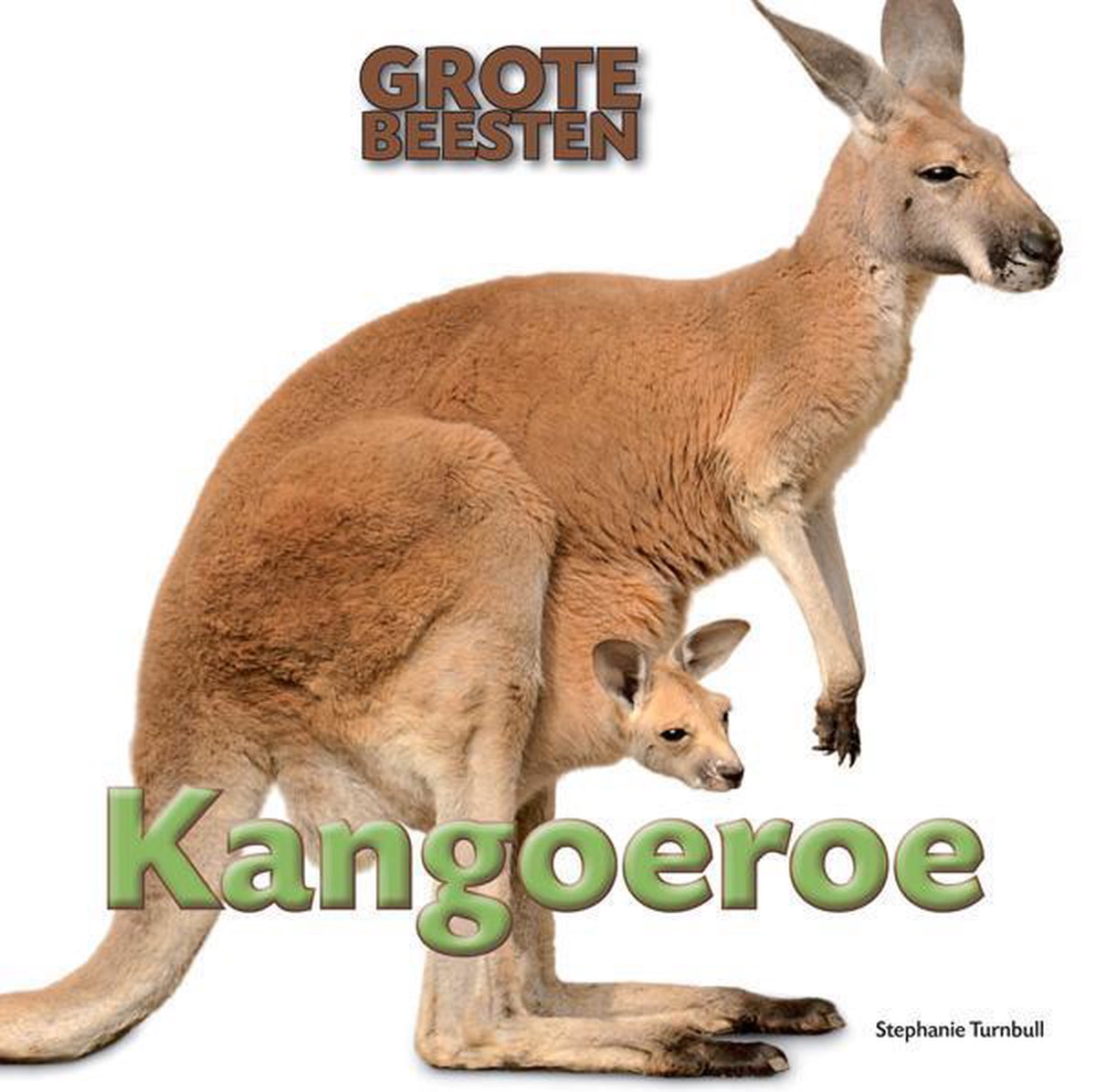 Grote Beesten - Kangoeroe | 9789461752574 | Stephanie Turnbull | Boeken ...