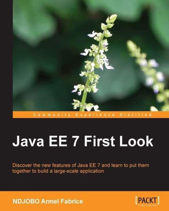 Java EE 7 First Look (ebook), Ndjobo Armel Fabrice | 9781849699242 ...