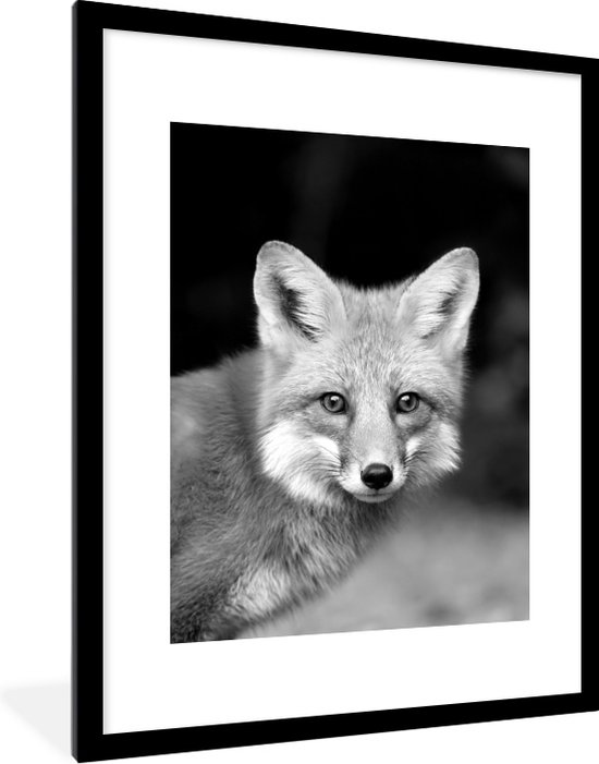 Jonge rode vos - zwart wit | bol.com