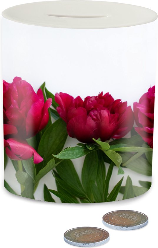 Spaarpot - Spaarblik - Een rij met rode pioenrozen - Spaarpotten ...