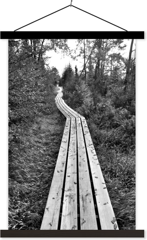 Houten loopbrug door het bos in het Nationaal Park Bayerischer Wald ...