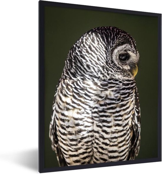 Fotolijst incl. Poster - Het een gestreepte bosuil - 30x40 cm ...