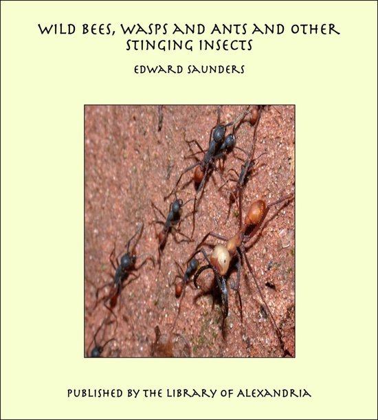 Wild Bees, Wasps and Ants and Other Stinging Insects (ebook), Edward ...