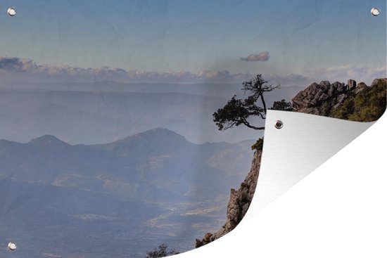 Tuindecoratie Een boom vanuit Italiaanse rots - 60x40 cm - Tuinposter ...