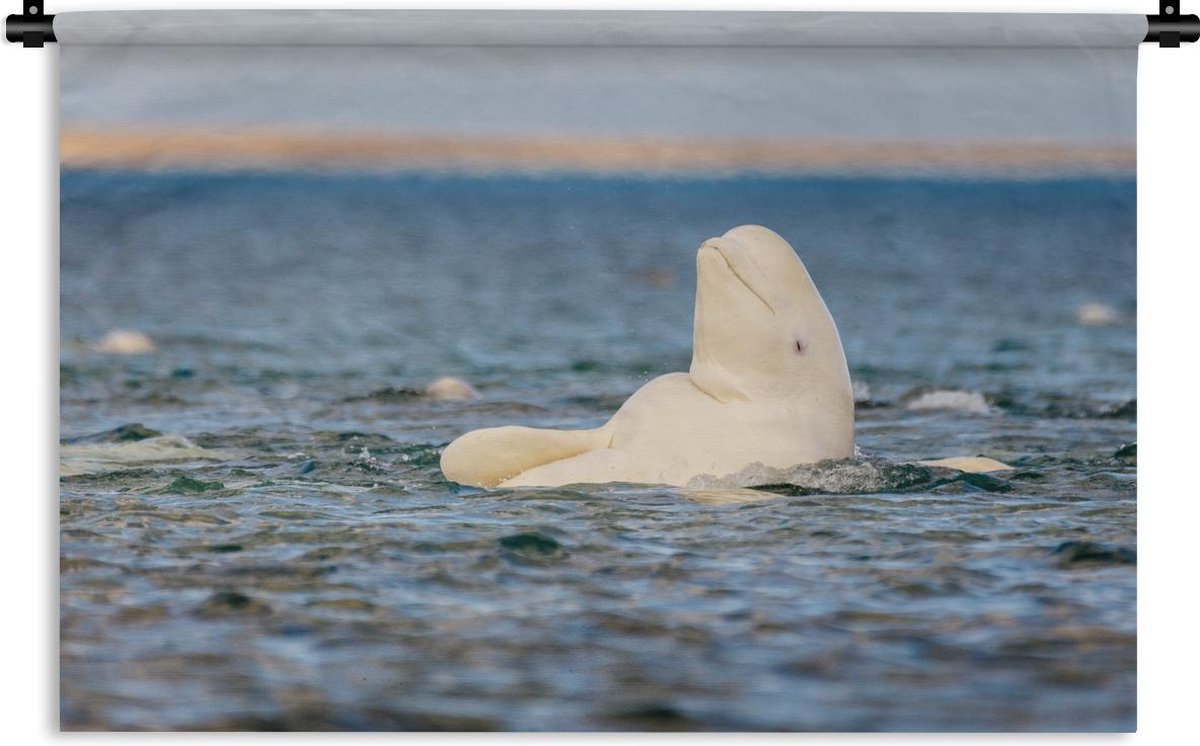 Wandkleed Witte dolfijn - Een Witte dolfijn in een blauwe golvende zee ...