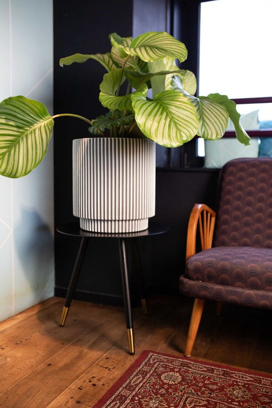 Capi Europe - Vaas cilinder Groove NL - 41x43 - Goud - Opening Ø36 ...