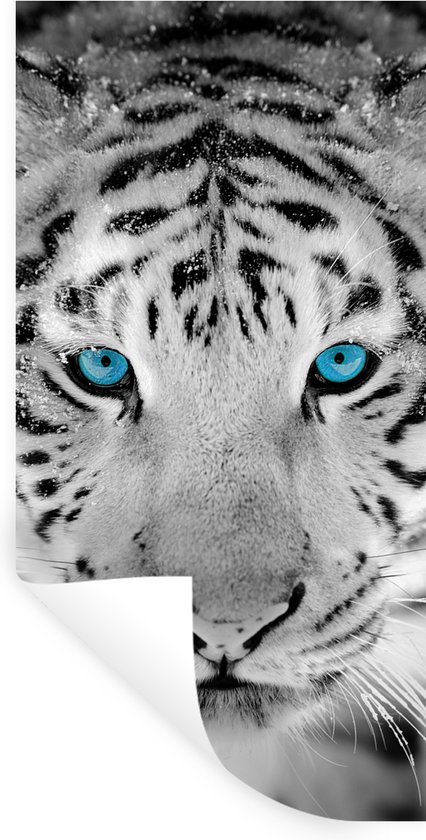 Muurstickers - Sticker Folie - Dieren - Tijger - Ogen - Blauw - Zwart wit - 60x120 cm... | bol