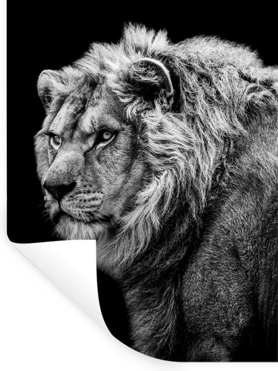 Muurstickers - Sticker Folie - Leeuw - Portret - Wilde dieren - Zwart - Wit - 60x80 cm... | bol