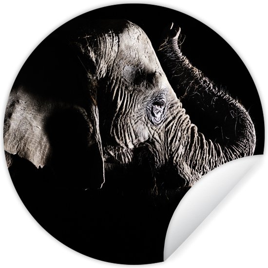 WallCircle - Muurstickers - Behangcirkel - Olifant - Zwart - Dieren - Natuur - ⌀ 140... | bol