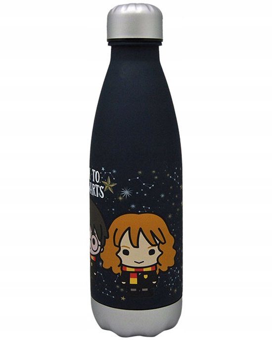 Harry Potter Hermelien & Ron Matten Fles 650ml | bol