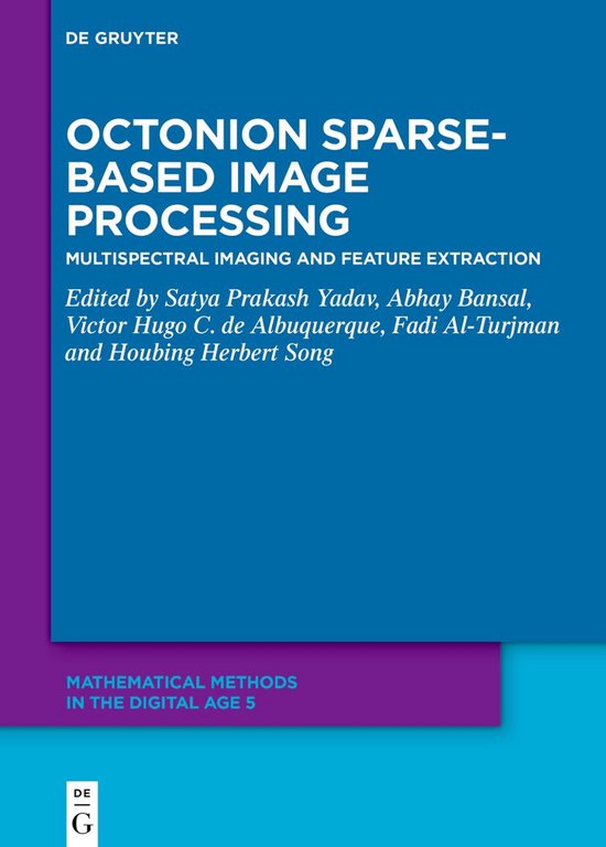 Mathematical Methods in the Digital Age- Octonion-Sparse Based Image Processing |... | bol