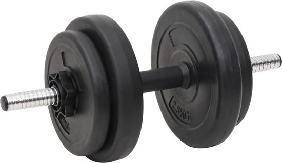 vidaXL Halter Met Gewicht - Halters Met Gewichten - Halterstang ...