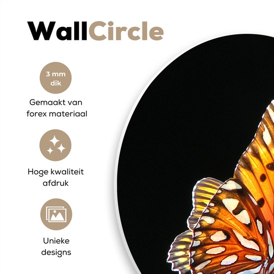 WallCircle - Wandcirkel 150x150 - Vlinder - Bloemen - Insect - Portret - Zwart -... | bol