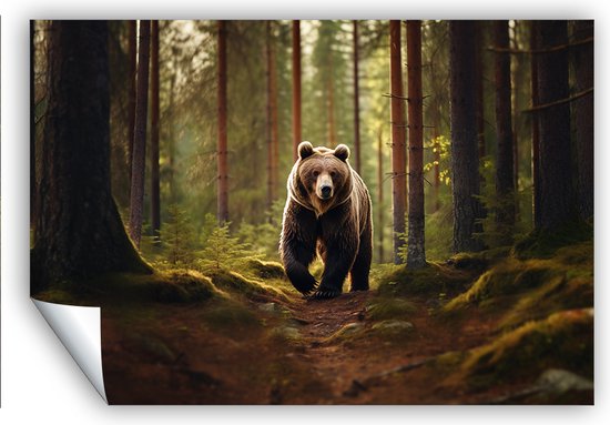 Beer in het Bos Poster - Natuur - Schilderij - Foto - Print - Groot ...